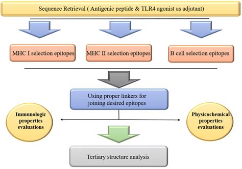 Schematic Procedure Chart For Designing The Recombinant Vaccine The Download Scientific