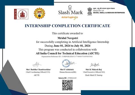 mridul navgotri on linkedin internship achievement gratitude