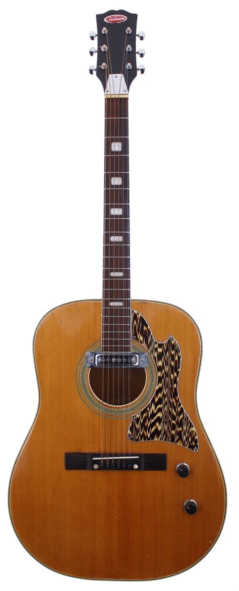 Sunbeam Electro Acoustic Guitar Gig Bag