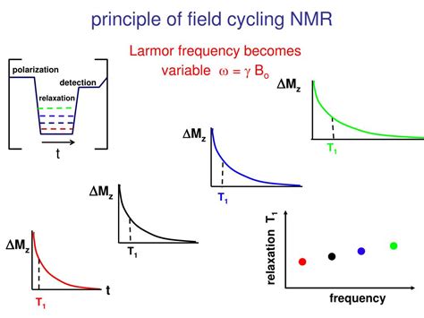 Ppt Polymer Dynamics And Field Cycling Nmr Powerpoint Presentation Id3329510