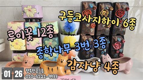 가성비 좋은 행복한꽃그릇 수입화분과 국산공방분 소개합니다 Youtube