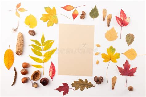 a beautiful autumn themed arrangement on a white background an array