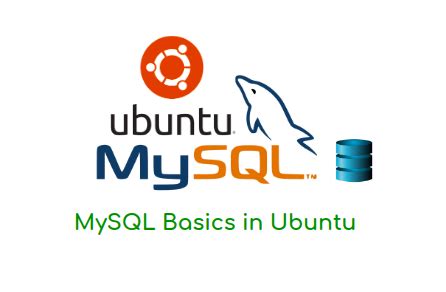 Mysql Basics In Ubuntu LearnBATTA