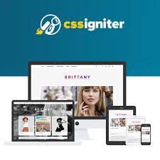 Download CSS Igniter Brittany WordPress Theme giá rẻ