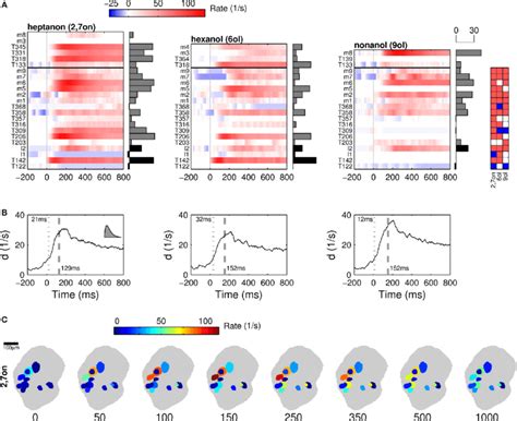 Population Rate Code In Projection Neuron Ensembles A Rate