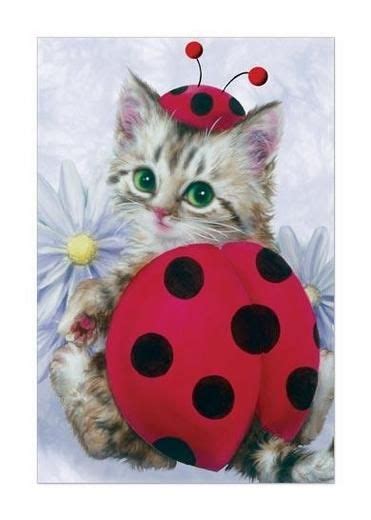 Lady Bug Kitten Notecard Tin