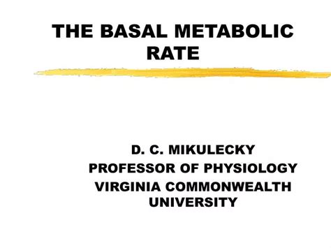 PPT THE BASAL METABOLIC RATE PowerPoint Presentation Free Download ID 1255607