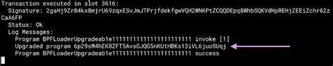 Solana Programs Are Upgradeable And Do Not Have Constructors