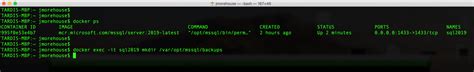 restoring a sql server database in docker sqlservercentral