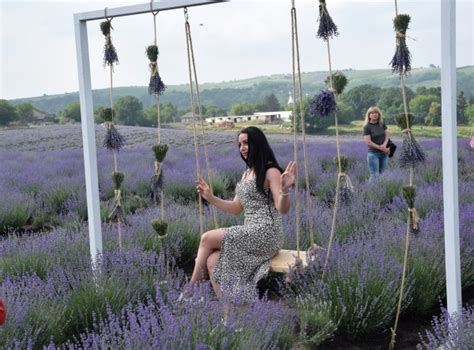 Найбільше лавандове поле с Білівці