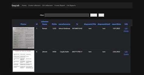 Easylab Page Album On Imgur