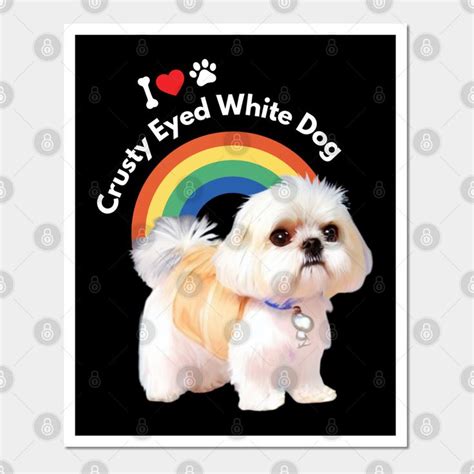 Crusty Eyed Malshi Puppy Fluffy Crusty White Dog Wall And Art Print