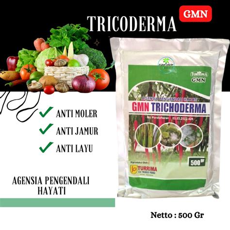 Jual Trichoderma Pupuk Bawang Merah Pembesar Umbi Gmn Tricoderma 500