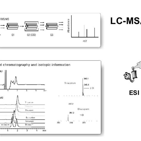 Schematic Overview Of Lcmsms Device Using Electro Spray Injection Download Scientific Diagram