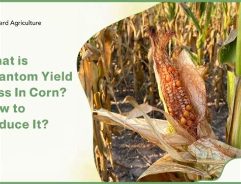 How To Build High Performance Dashboards With Ignition Scada Innorobix