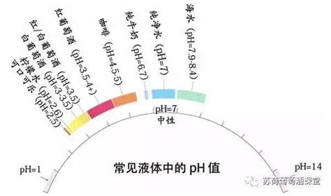 葡萄酒里的ph值是什么意思？酸度溶液表述