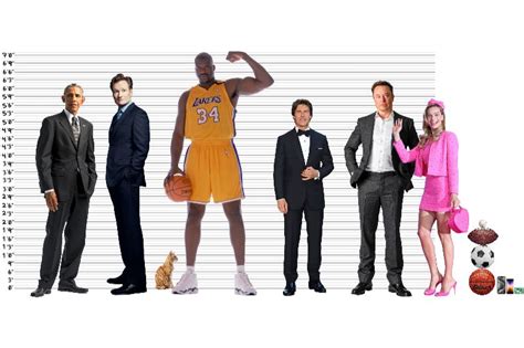 Sizeall Compare Height Chart 0 7 Feet Vs Shaquille Oneal Vs Elon