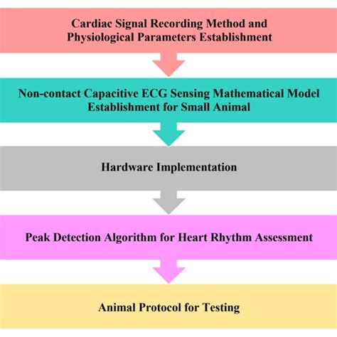 Flow Chart Of Our Approach For Non Contact Ecg Measurement In Small Download Scientific Diagram