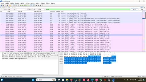 流量分析（一ctfhub Icmp Csdn博客