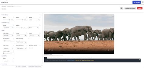 Exploring Video Hosting Cloudinary