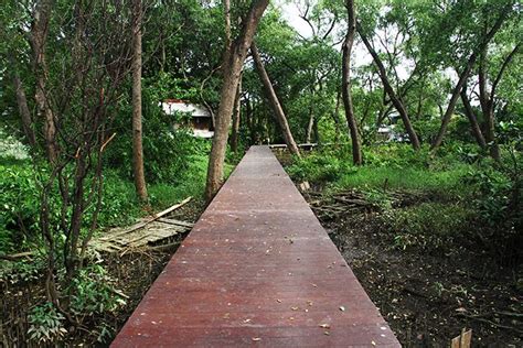 Dedy Istanto On Linkedin Hutan Alami Yang Tersisa Di Jakarta