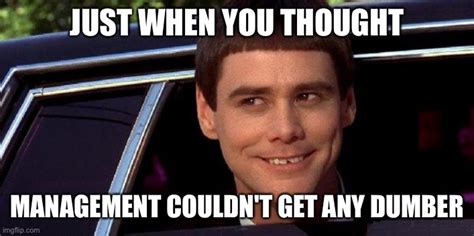 Dumb And Dumber Memes Imgflip