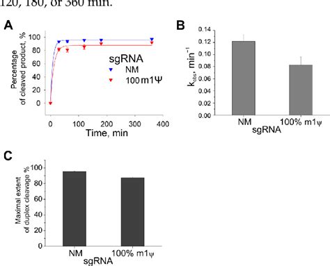 Figure 1 From Influence Of N1 Methylpseudouridine In Guide Rnas On