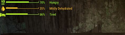 Def Ssw Survival Stats Widget Redone At Fallout 4 Nexus Mods And