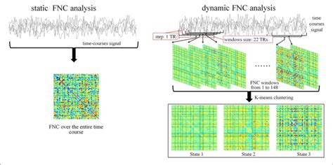 Pipeline For Static Fnc And Dynamic Fnc Analysis Download Scientific Diagram