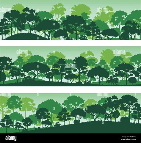 Bosques Rboles Siluetas Bosque Paisaje Plantilla Banner Fondo