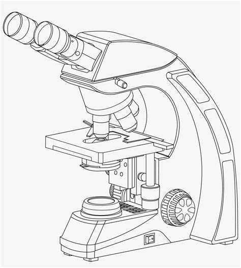 Compound Microscope Drawing At PaintingValley Explore Collection Of Compound Microscope