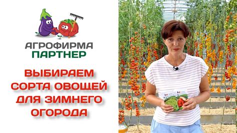 Выбираем сорта овощей для зимнего огорода Youtube