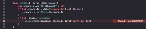 Ipad Crash Without Rendering · Issue 173 · Agoraio Extensionsagora