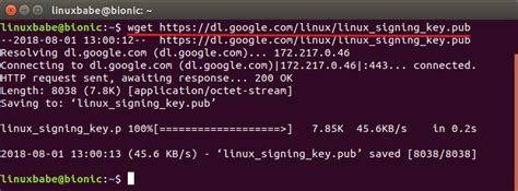 Ways To Install Google Chrome On Ubuntu LTS Bionic Beaver