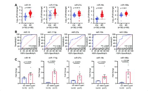 Independent Validation Of The Five Candidate Mirnas A Expression