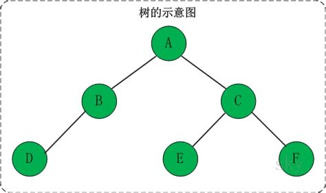 二叉查找树 一 之 图文解析 和 C语言的实现 如果天空不死 博客园