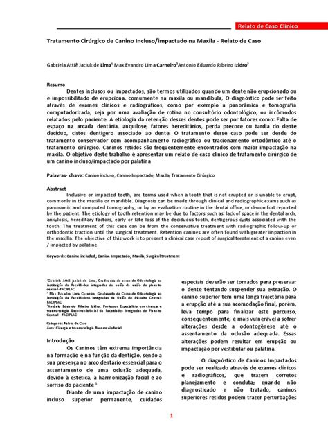 Gabriela Attiê 0004752 Max Carneiro Pdf Dente Medicina Clínica