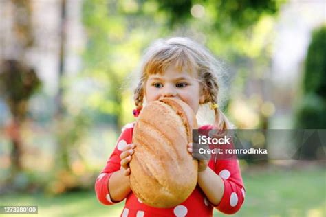 빵의 큰 덩어리를 들고 어린 유아 소녀 재미 행복 한 아이 물고 건강 한 빵을 먹고 야외 배고픈 아이 아이에 대한 스톡 사진 및 기타 이미지 Istock
