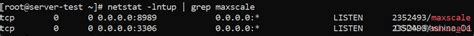 maxscale实现读写分离 csdn博客