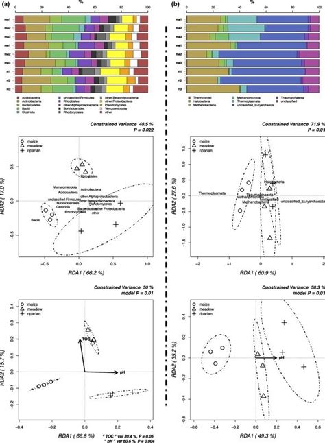 Relative Participation Of Taxa Per Sample Upper Db Rda Performance