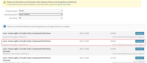 Linux安装mysql8x详细步骤mysql8 Linux下载安装 Csdn博客