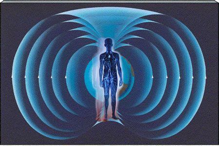 Полевое строение человеческого организма | Earth's magnetic field ...
