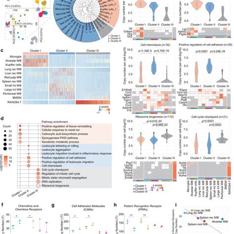 Hierarchical Proteome Crosstalk Networks From Ligand Receptor To Tf Tg