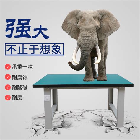 Mworkbench Work Table Laboratory Table Fitter Bench Anti Static