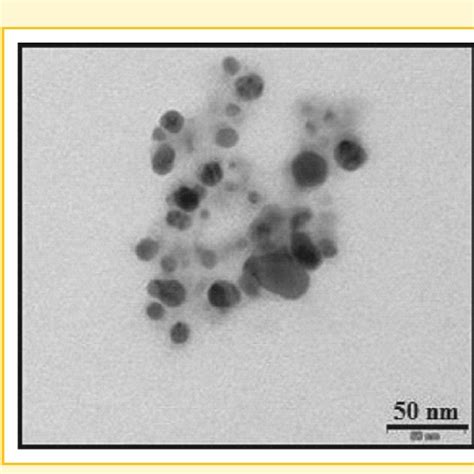 Chemical Composition Of Moringa Oleifera Aqueous Leaf Extract By Gc Ms Download Scientific