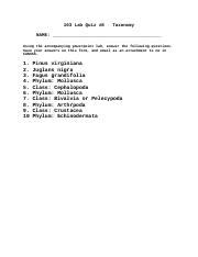 Lab Quiz Docx Lab Quiz Taxonomy NAME Using The Accompanying Powerpoint Lab