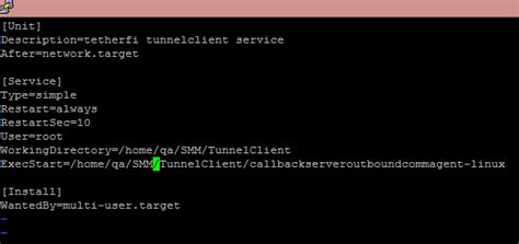 create systemd service for a linux executable tetherfi documentation