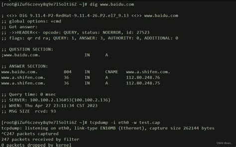 实验5 dns协议分析与测量 cwn 的博客 csdn博客
