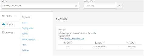 Running A Wildfly Docker Image On Openshift Origin