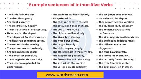 Intransitive Verbs Meaning Types And Examples Word Coach